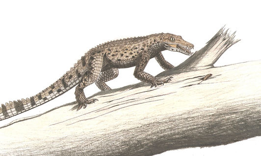 Prehistoric Creatures | lcho66