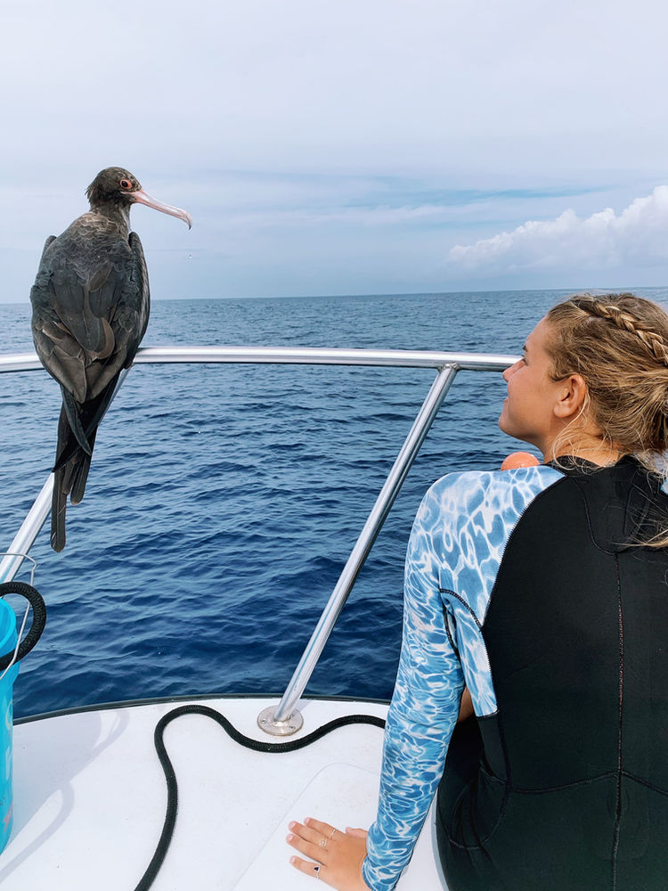 Job Opportunities in Marine Biology – Fields of Study