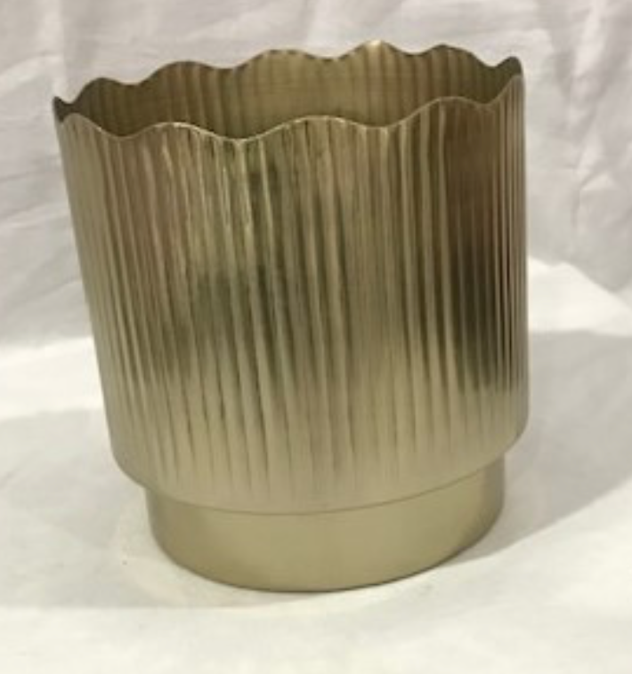 Product Portfolio | India Connection