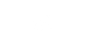 Assistive Technology | Vilje Bionics