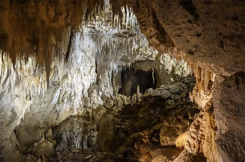 What to do in Waitomo?