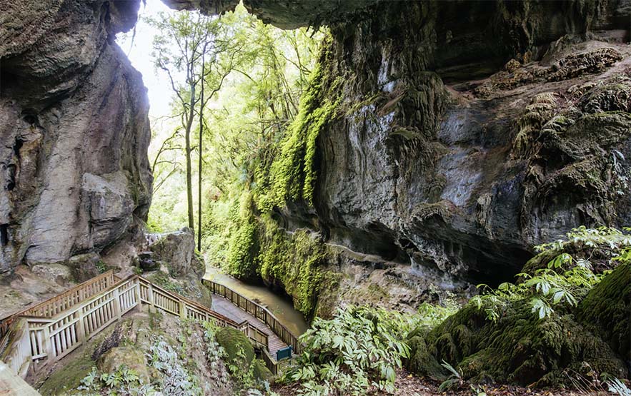 What to do in Waitomo?