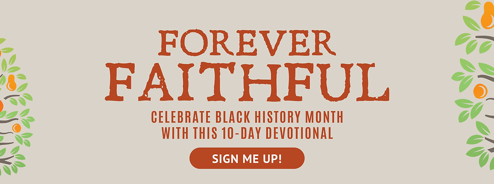 STUDY | Sweet Magnolia