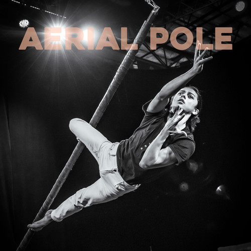 Student Aerial Pole Solo | VIVA Fest