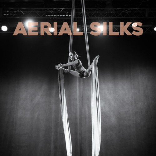 Novice Aerial Silks/Tissue Solo | VIVA Fest
