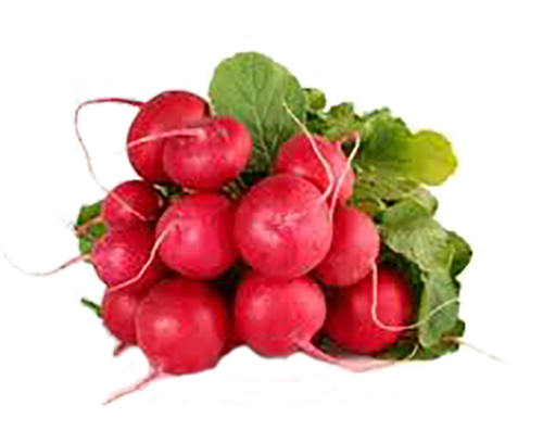 Radis Rouge sachet 500 grammes (954) | Les Halles Joli-Mai