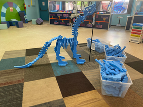 EXHIBITS | Emerald Coast Science Center
