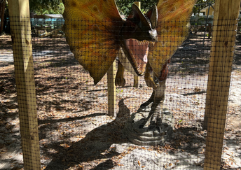 EXHIBITS | Emerald Coast Science Center