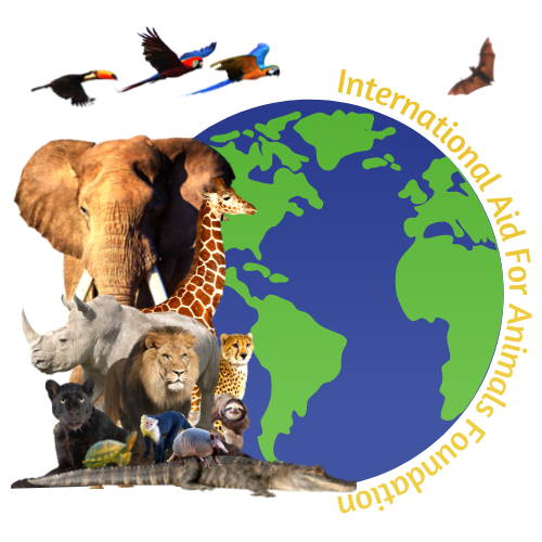 Global Animal rescue | Iafaf | Canada