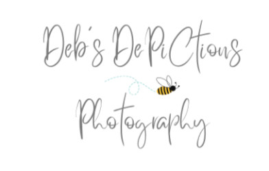 Deb's DePICtions Photography | Northeast Georgia Photographer