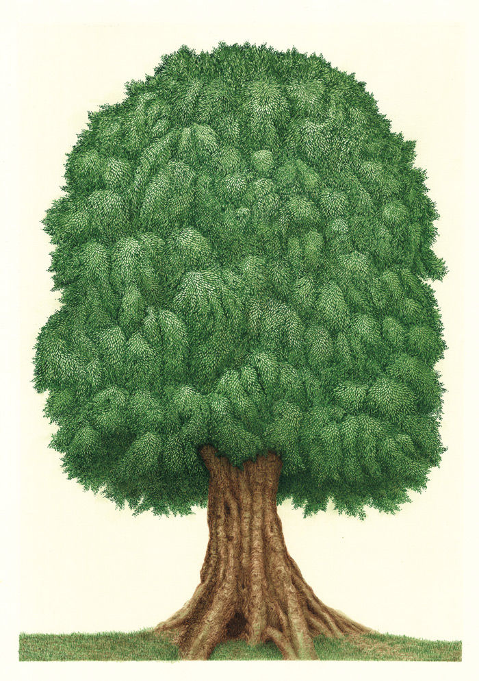 Original Artwork by Salma Price-Nell | The Salsa Creative Studio | United Kingdom