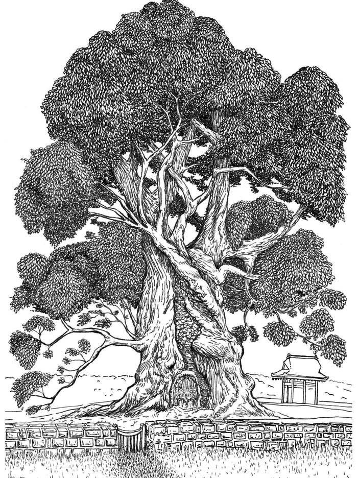 Home | The Salsa Creative Studio | Artist | United Kingdom