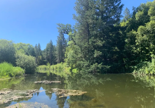 GROUP CAMPING | Black Oak Ranch