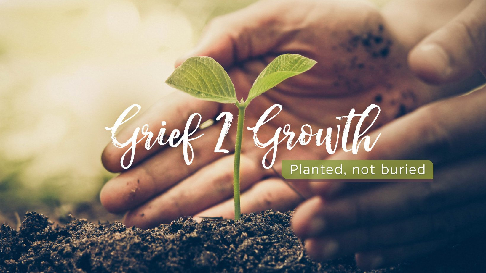 Grief to Growth Transformational Program | mysite