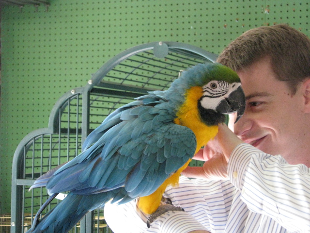 Last Place on Earth Pet Shop | Photos