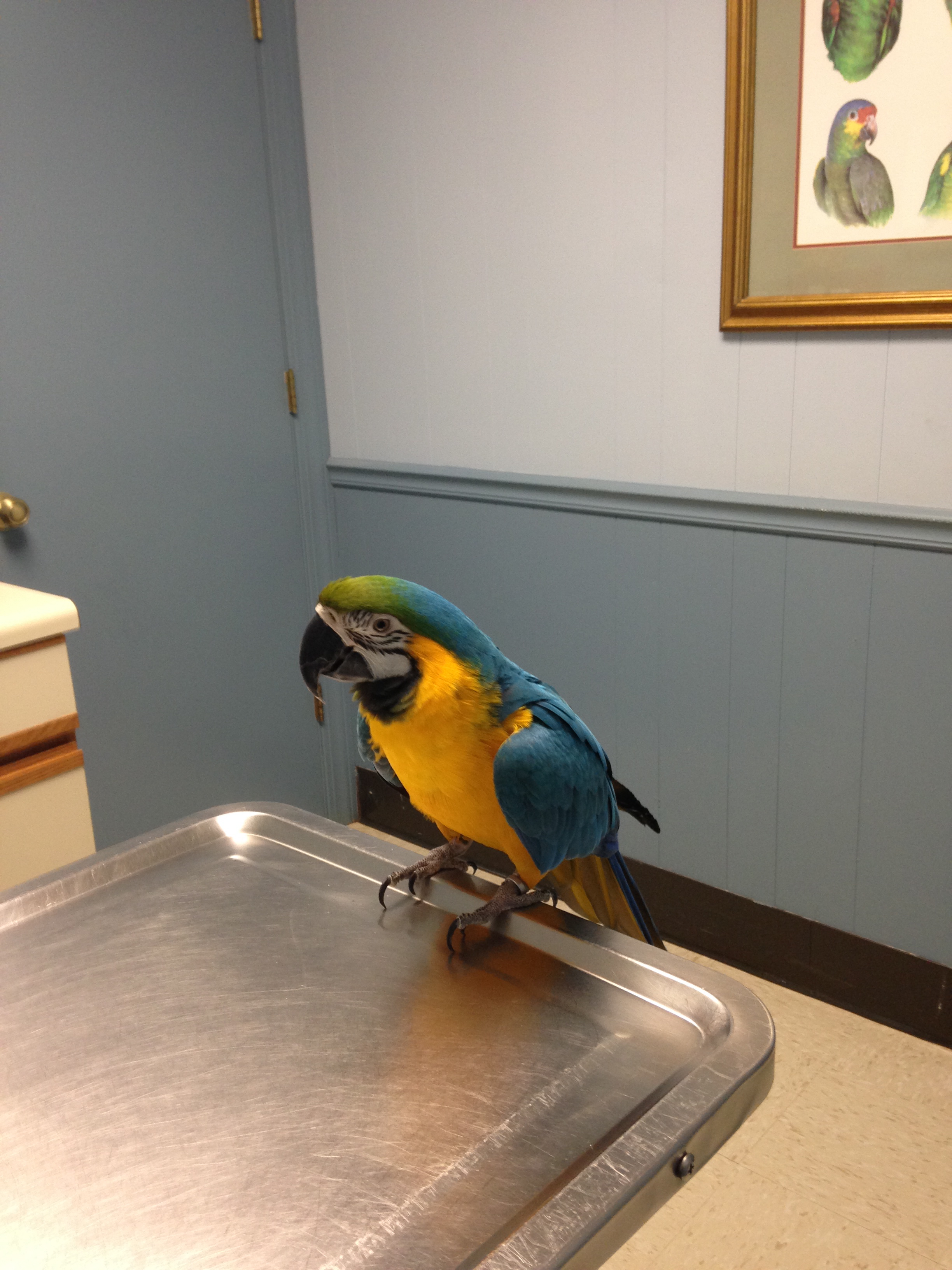 Last Place on Earth Pet Shop | Photos