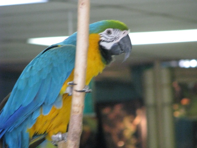 Last Place on Earth Pet Shop | Photos