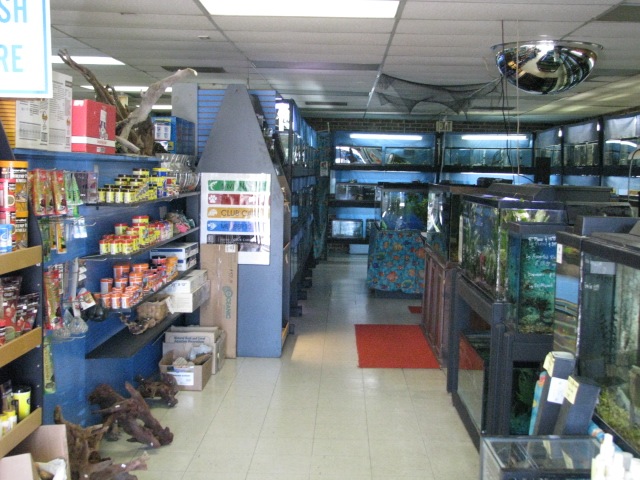 Last Place on Earth Pet Shop | Fish