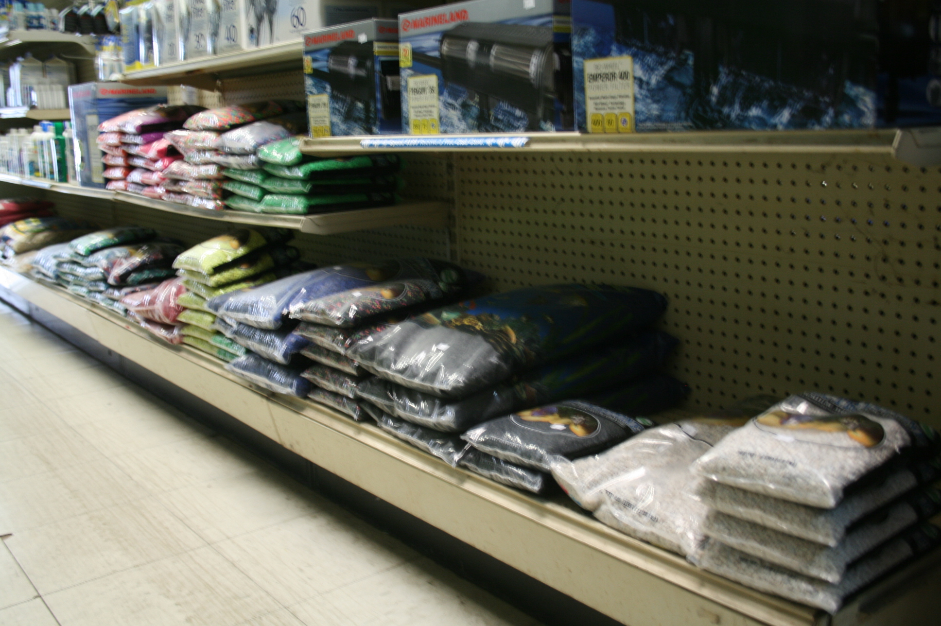 Last Place on Earth Pet Shop | Fish