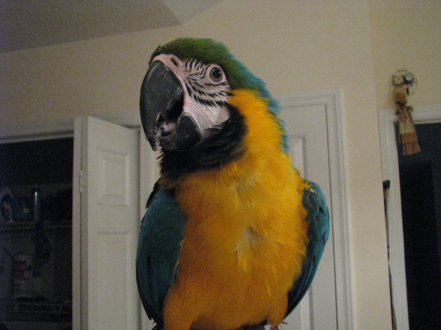 Last Place on Earth Pet Shop | Photos