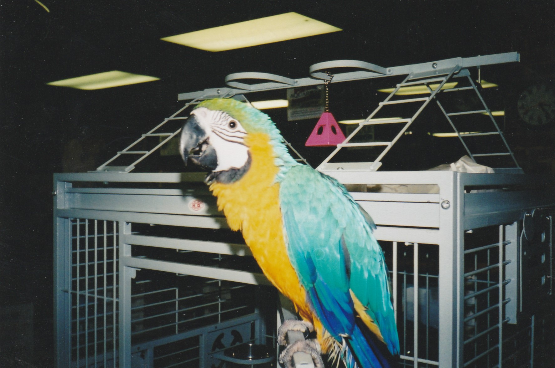 Last Place on Earth Pet Shop | Photos