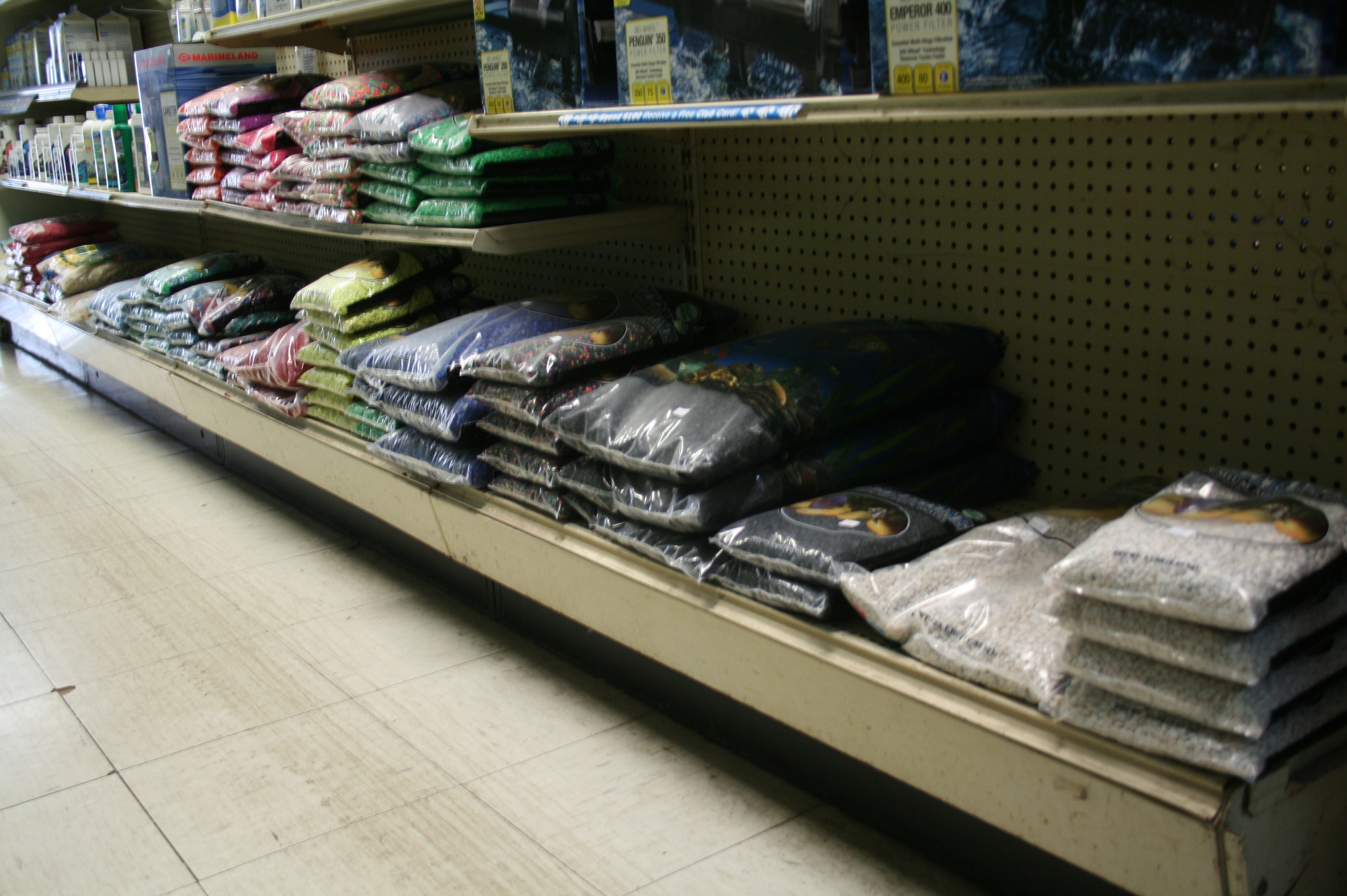 Last Place on Earth Pet Shop | Fish