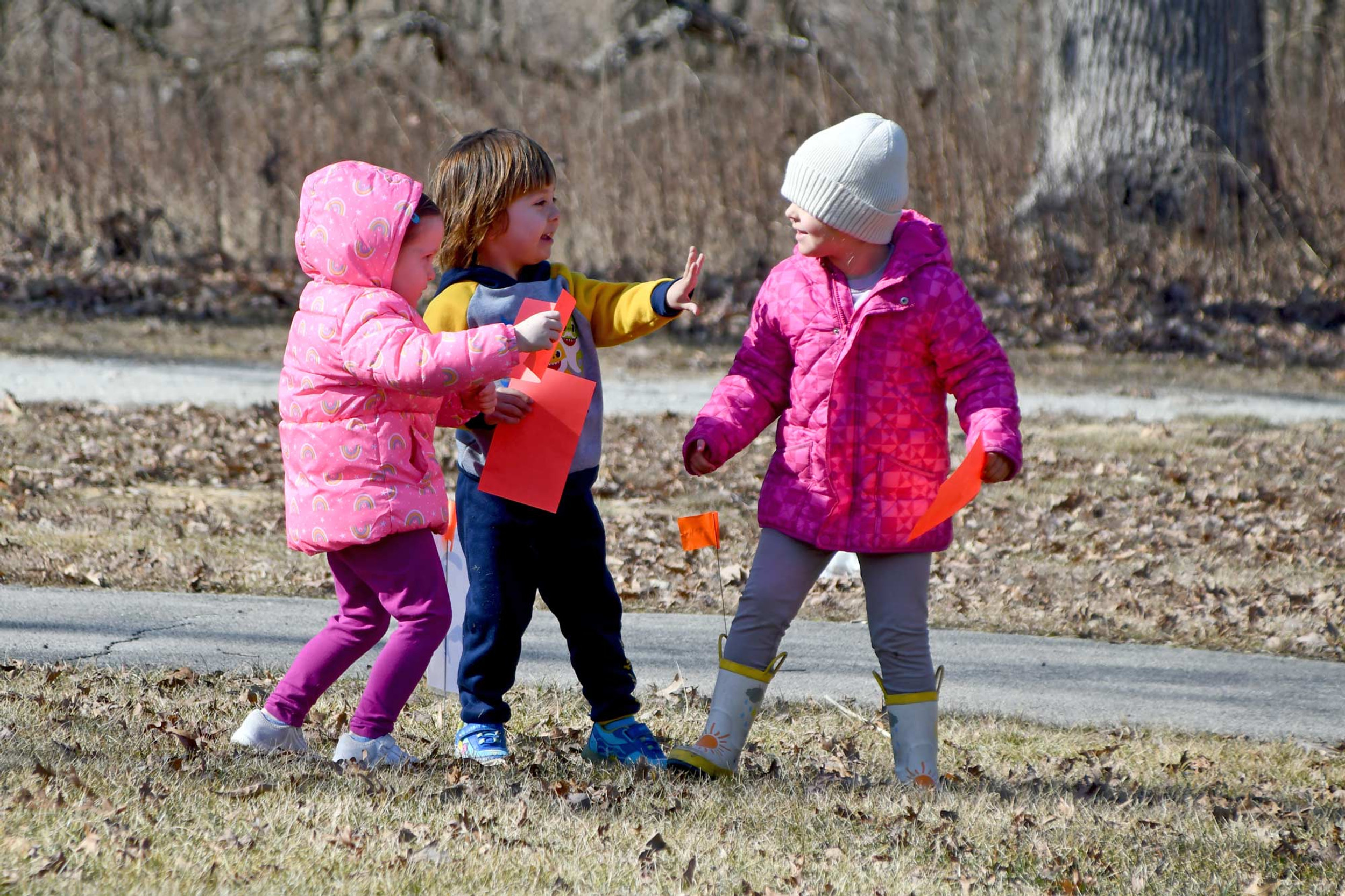 Nature Foundation secures nearly $150,000 to enhance Forest Preserve ...