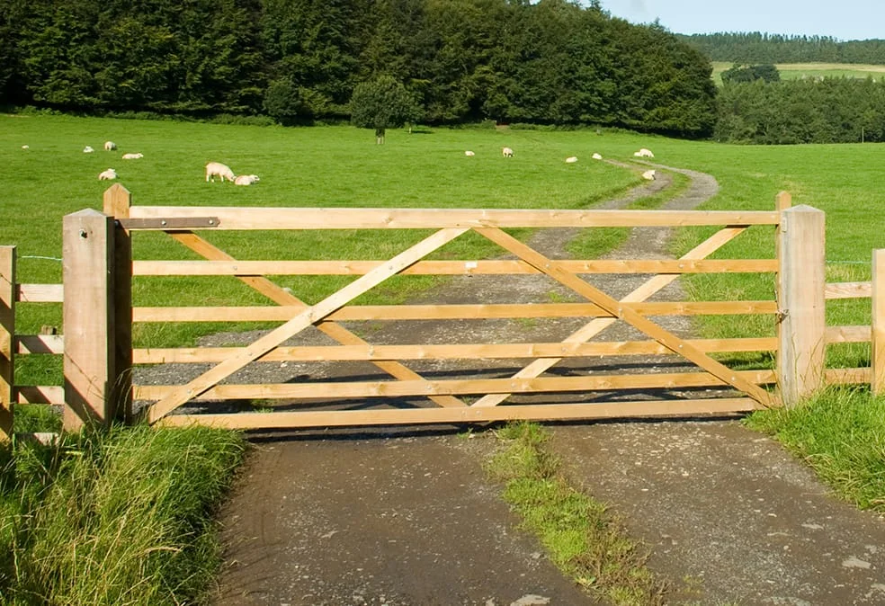 Hand Crafted British Gates in Biddenden - Youngs Timber & Builders ...