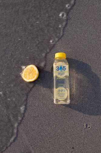 305 H2O Lemon Water | Mysite