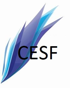 CESF | Histoire du CESF