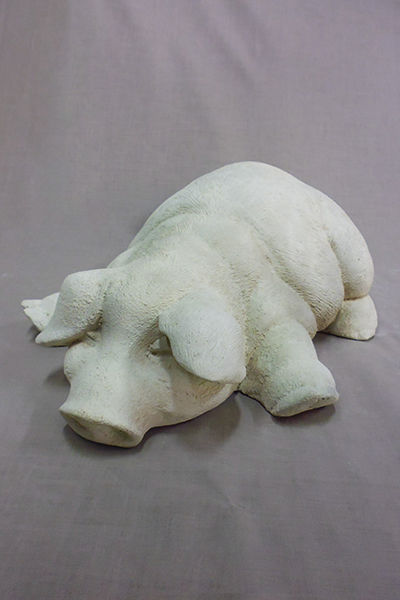 Flat Pig | Creative Castings