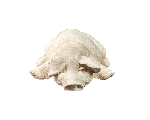 Flat Pig | Creative Castings