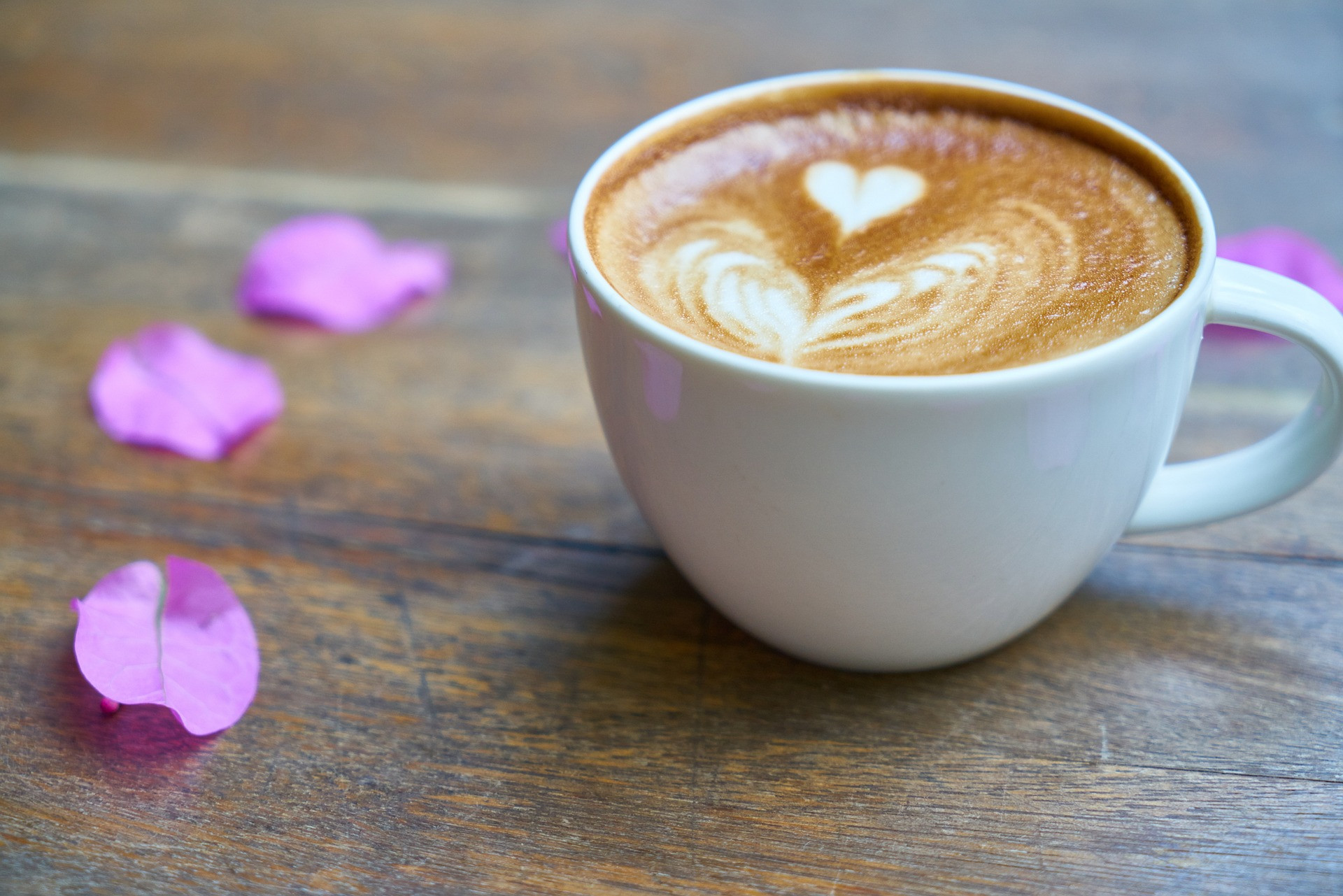 Issa Vibe Cafe - Best Coffee in New Buffalo