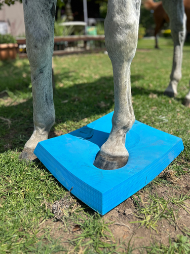 Balance Pads For Horses | CentrelineCollective