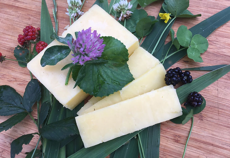 Our Story | Glasgow | Raw Grass-fed Cheese: Maid-N-Meadows