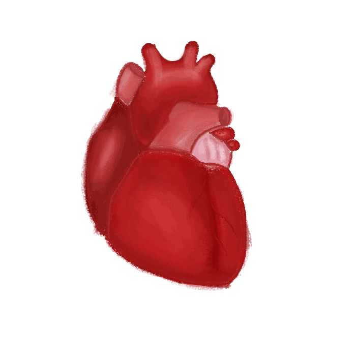 BSB graphics | Freelance Graphic Designer