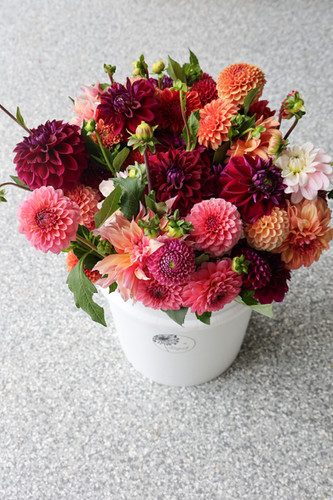 Dahlia Bucket | Slupik MiniFarm