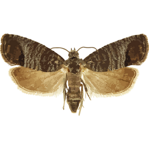 Cydia pomonella Mating Disruption Dispenser | Pherobio Technology