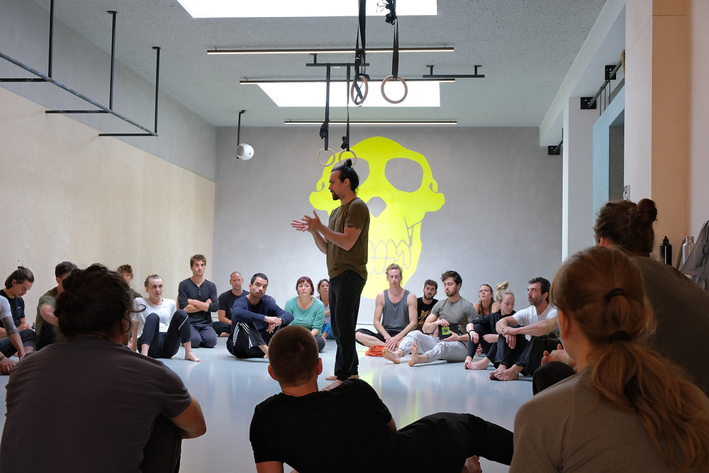 The Principle Of Fulcrum In Human Movement