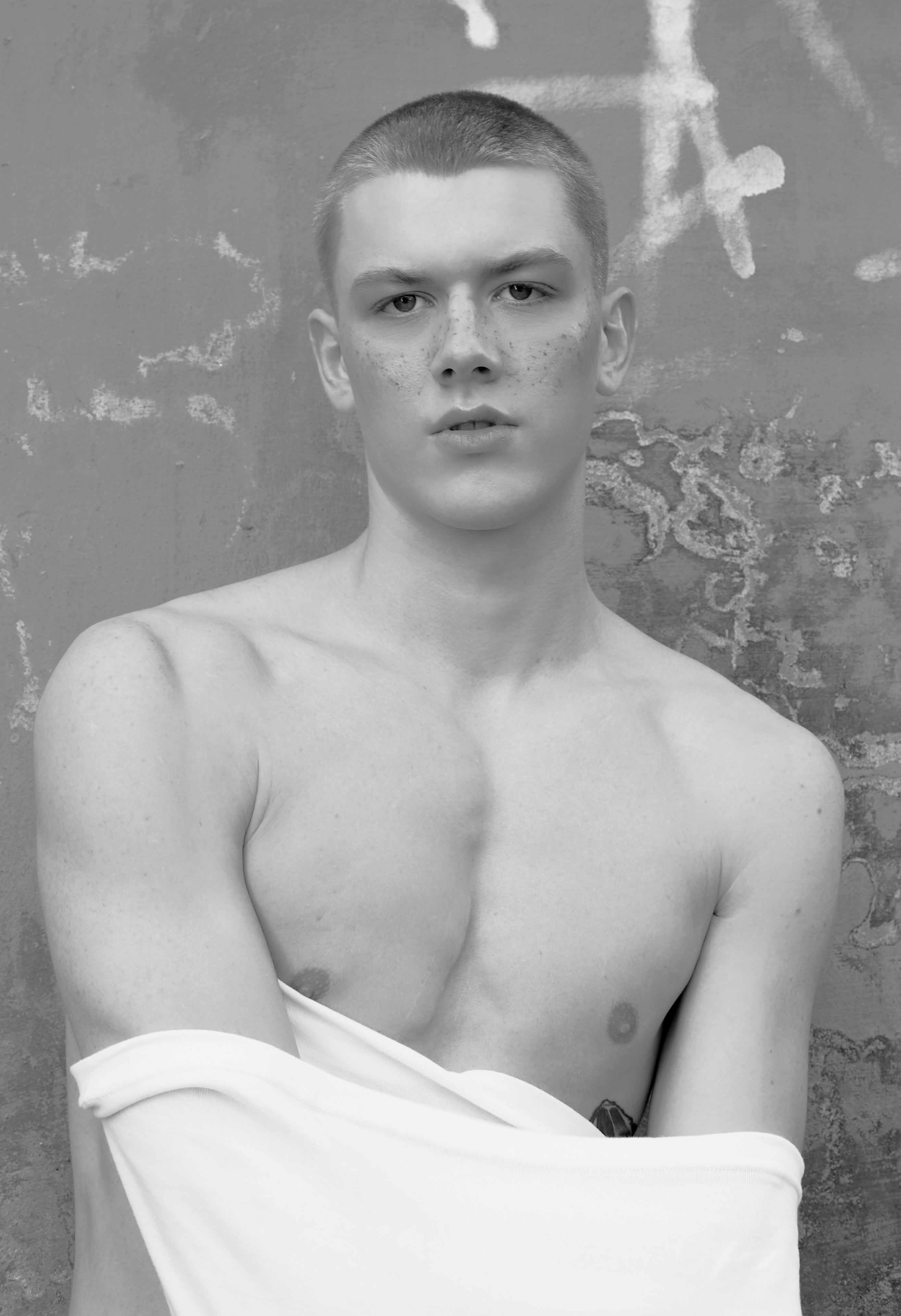 INTRODUCING WILLIAM AlBRECHTSEN
