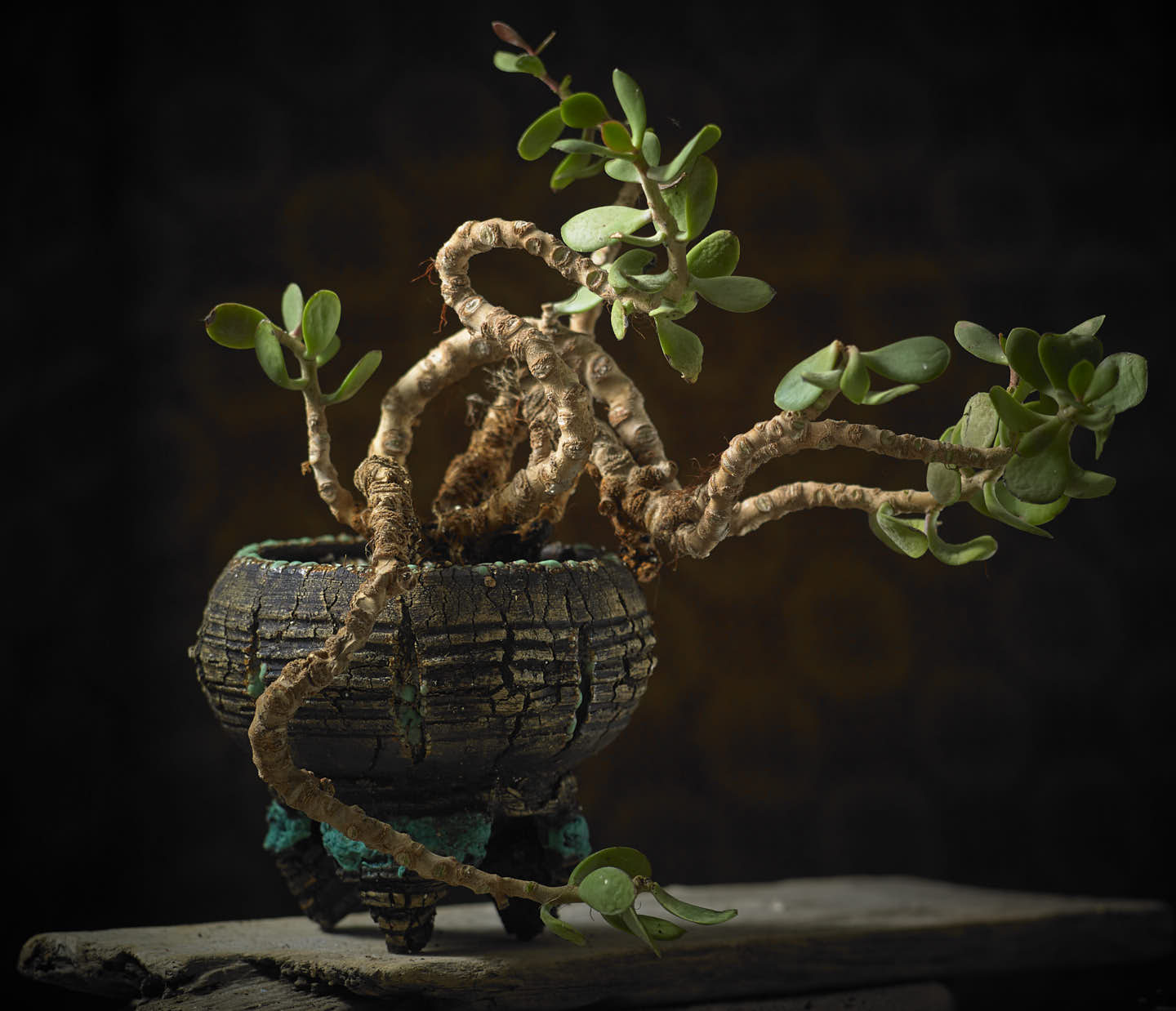 My staged pots | markfollon