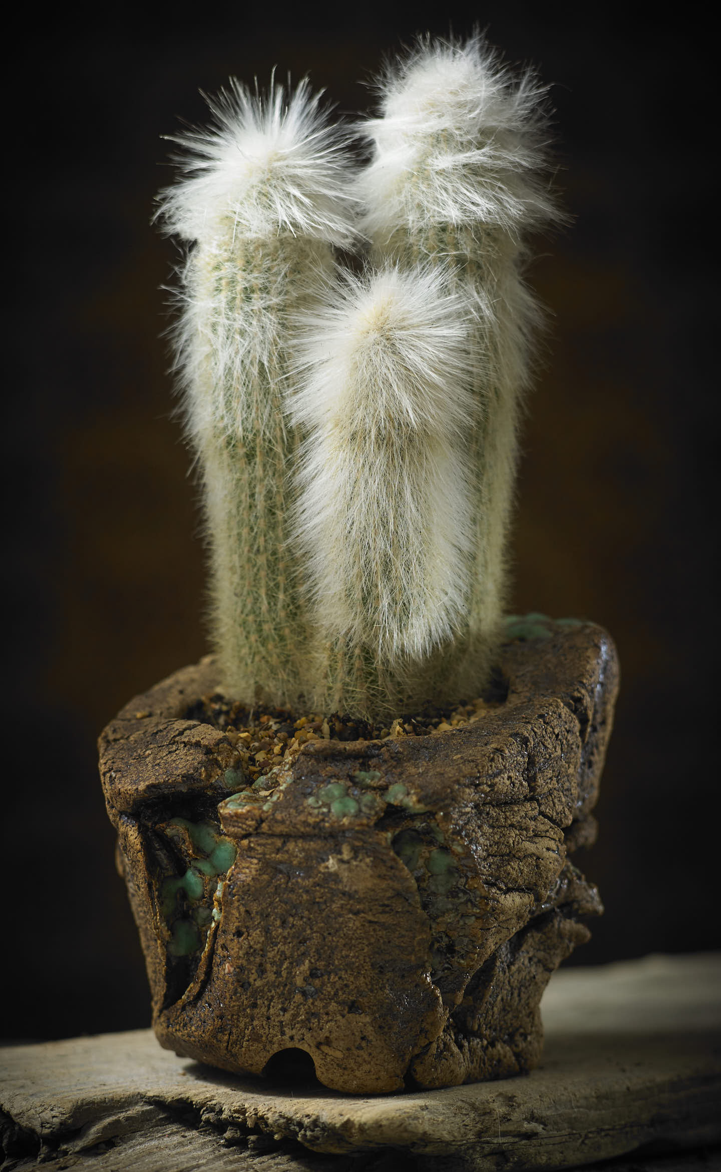 My staged pots | markfollon