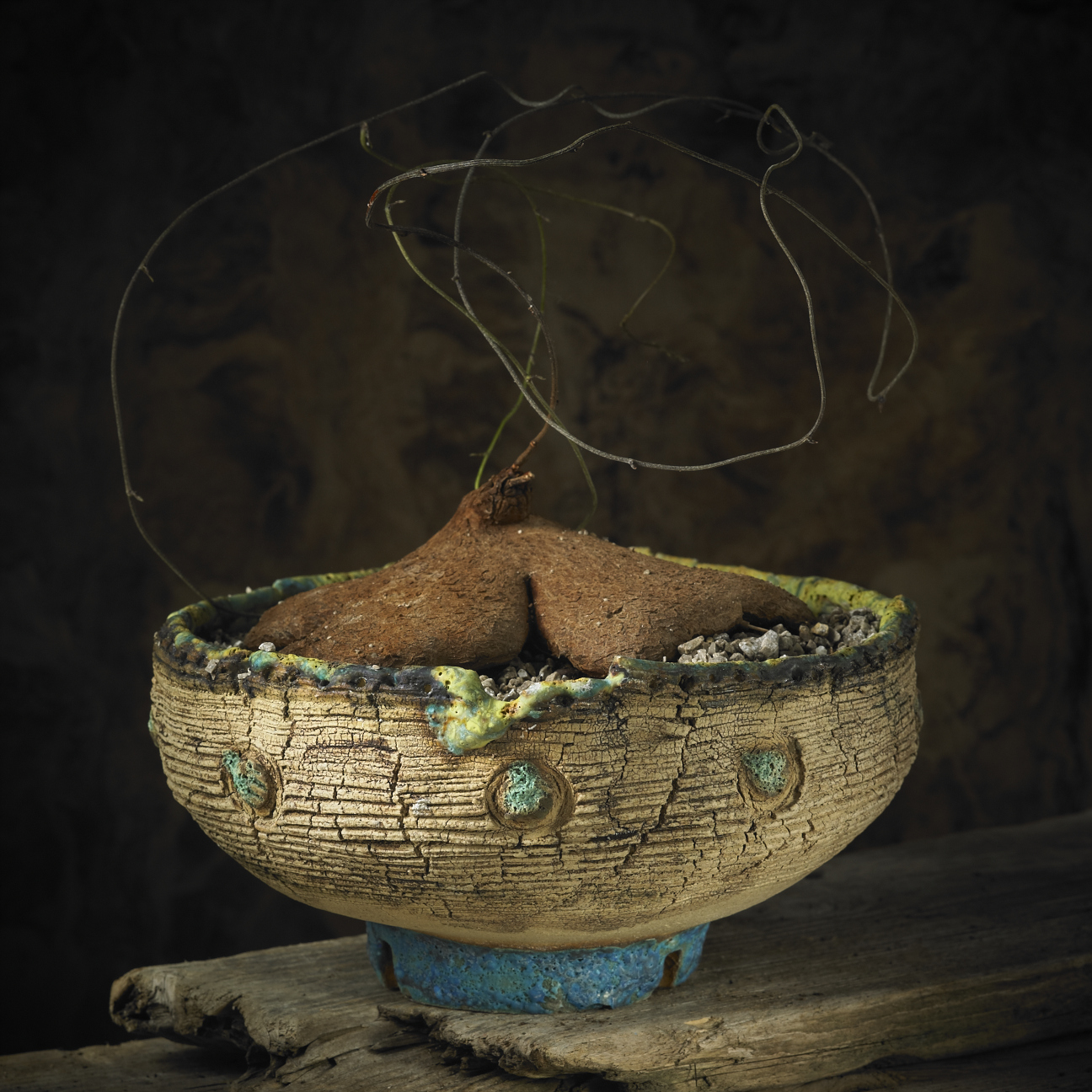 My staged pots | markfollon