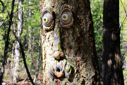 Ole Treemun Tree Face by Dorina Zieske Art | Garden Sculpture