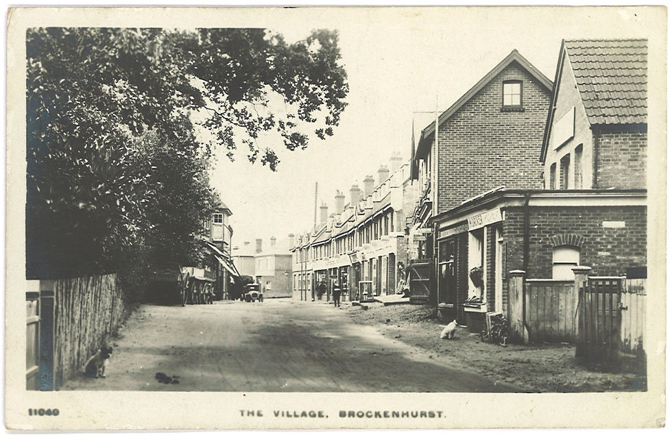 Visit Brockenhurst | History Trail