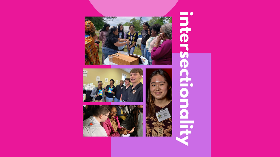 Intersectionality Wheel