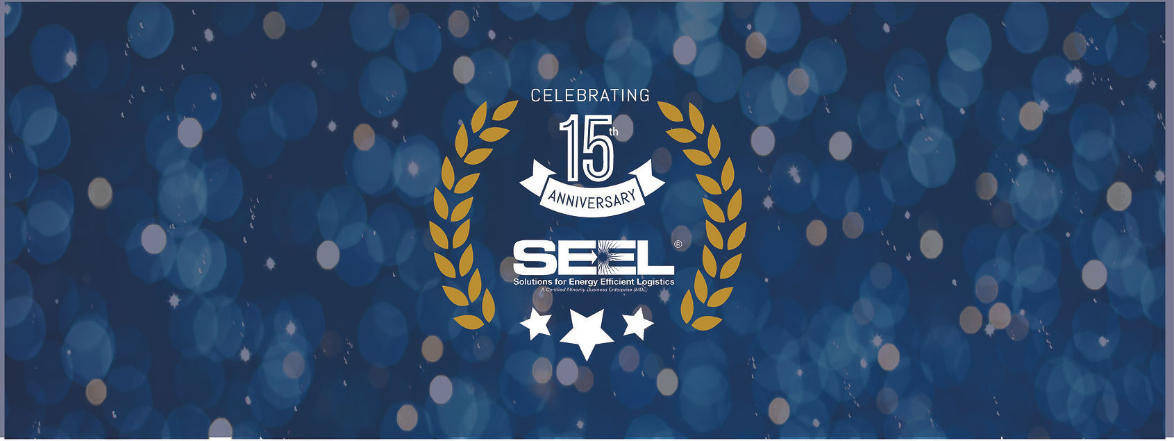 SEEL, LLC | Energy Solutions