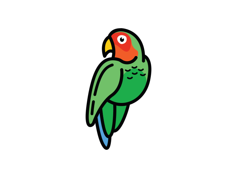 Parrot Eating Gif at Charli Murnin blog