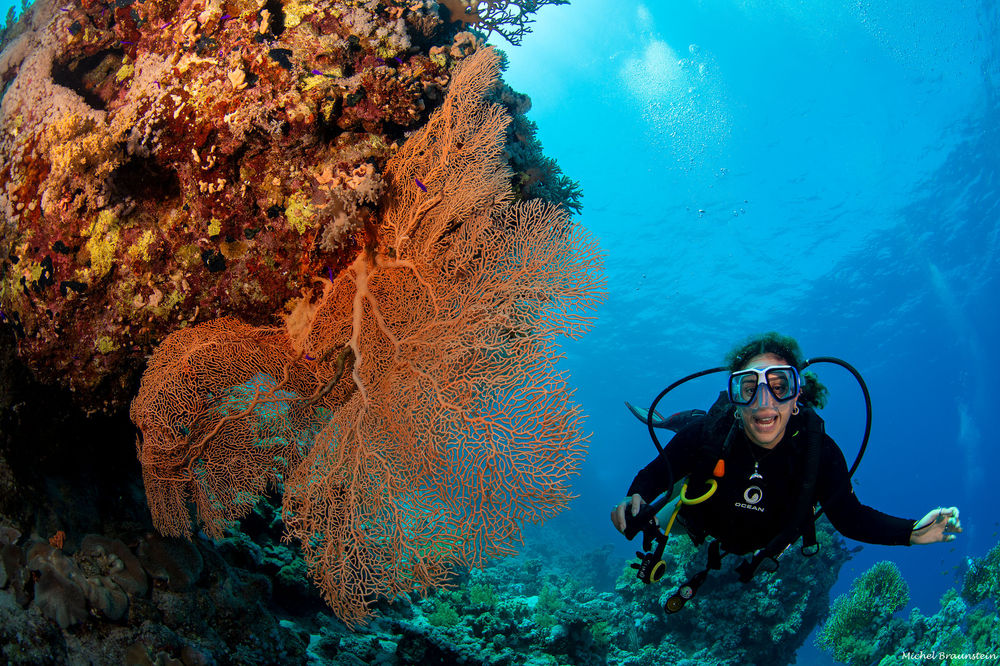 Visit to Sharm El Sheikh Underwater Photo Gallery