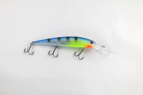 JT Custom Bandit Electric Perch | M65 Baitshop II